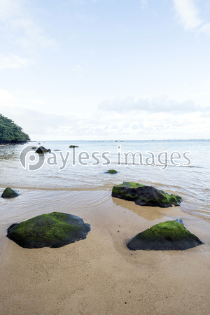 Pilaa Beach,Kauai,Hawaii,ピラアビーチ、カウアイ島、ハワイ - 商用利用可能な写真素材・イラスト素材ならストックフォト ...