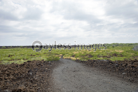 Kauna Point,Big Island,Hawaii - 商用利用可能な写真素材・イラスト素材ならストックフォトの定額制ペイレスイメージズ